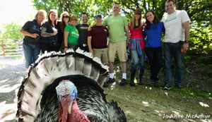 Remembering Turpentine | Farm Sanctuary Blog